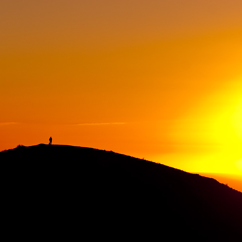 Burning Sunset – Synapsee